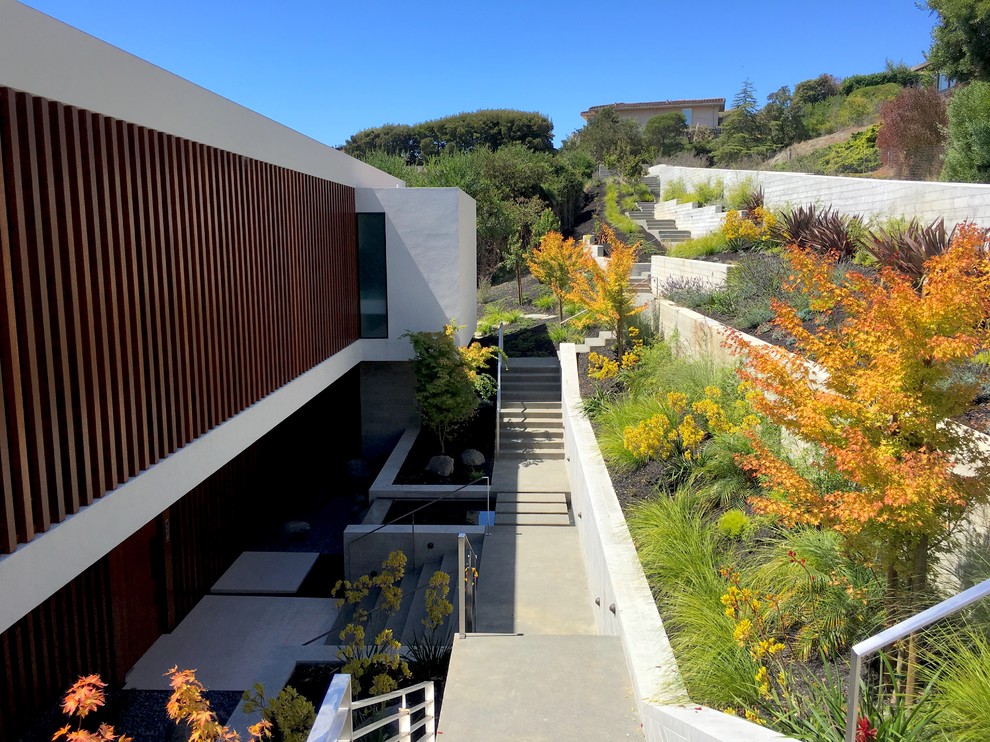 Tiburon - Modern - Landscape - San Francisco - by Huettl Landscape ...
