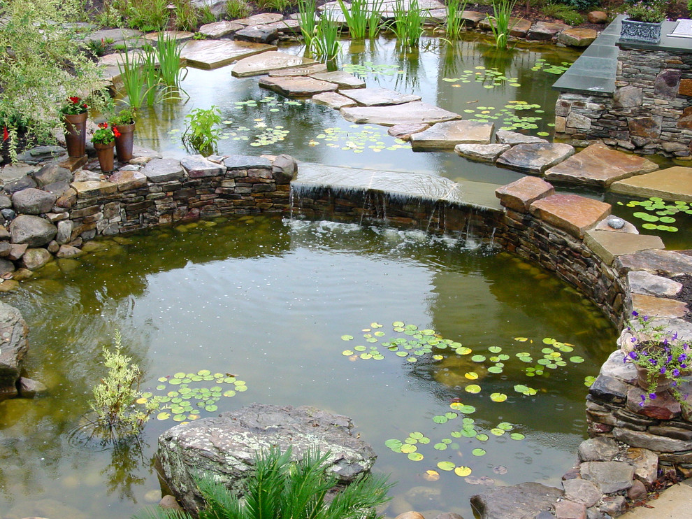 Tiered Pond - Rustic - Landscape - DC Metro - by Through The Garden ...