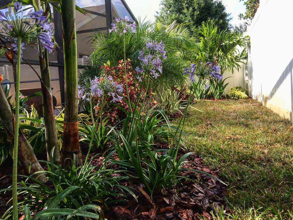 Tina's Tropical Traditional Paradise Front & Back Yard Makeover ...
