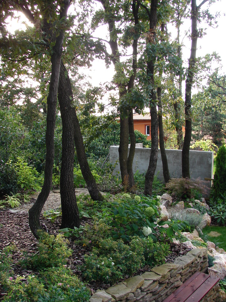 "Tiny Oak Forest Garden" - Traditional - Landscape - Amsterdam - by ...