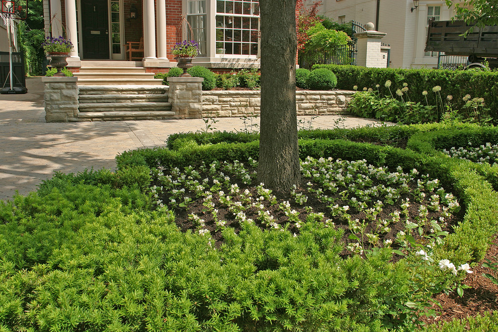 Traditional Frontyard - Traditional - Landscape - Toronto - by ...