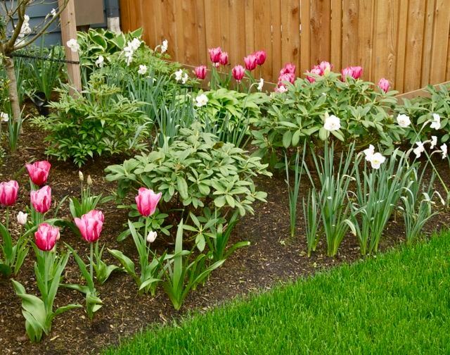 Traditional Landscaping - Irvington - Traditional - Landscape ...