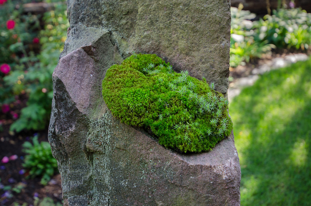 Traditional Urban Landscape - Traditional - Landscape - Burlington - by ...