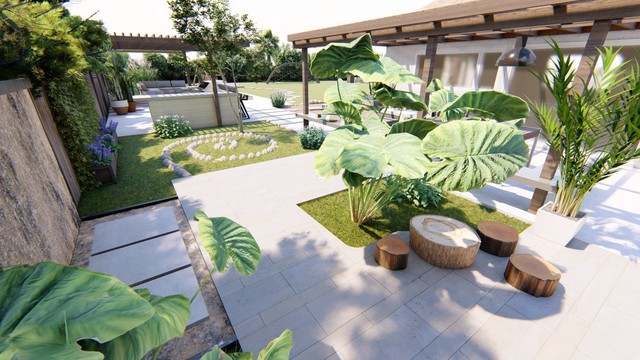 Transforming an Empty Backyard | Dry Tolerant Landscaping ...