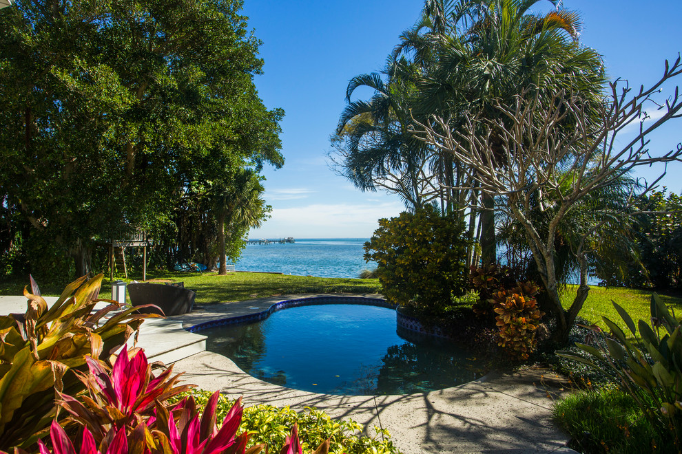 Transitional Whole House Remodel - Transitional - Landscape - Tampa ...