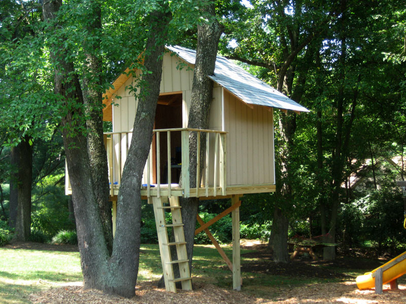 Tree House - Traditional - Landscape - Philadelphia - by Nattapon ...