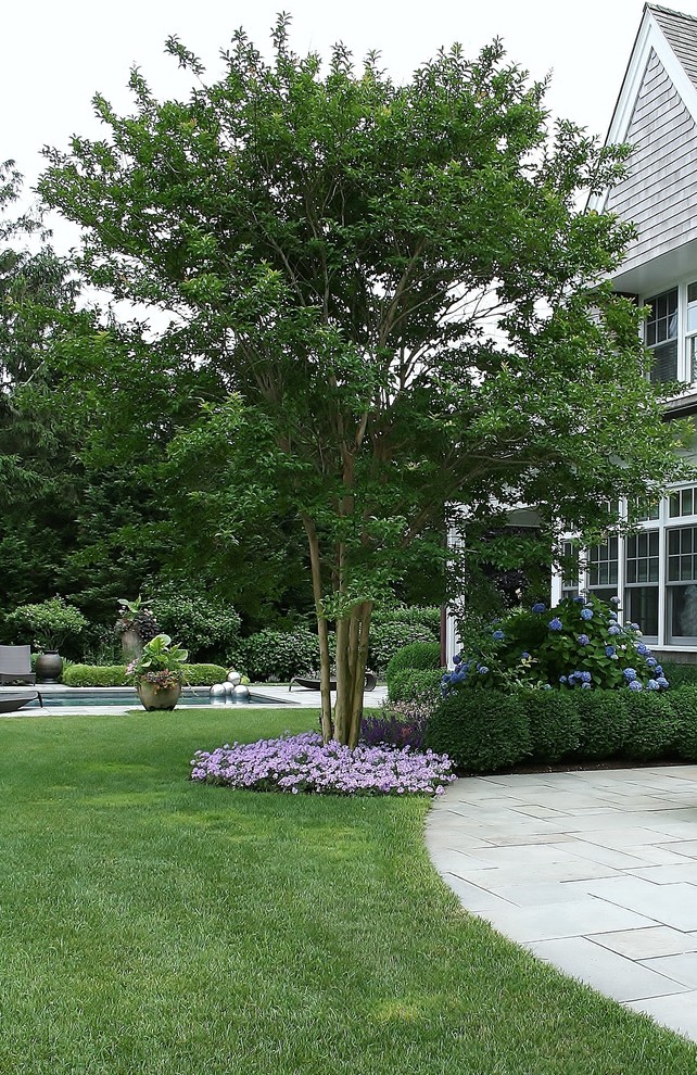 Tree Placement - Traditional - Landscape - New York - by Landplans | Houzz
