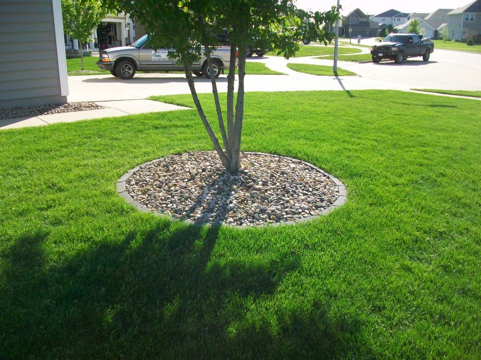 Tree Rings - Traditional - Landscape - Other - by Solid Rock ...