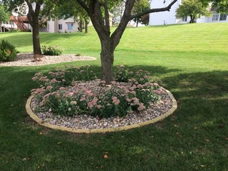 Tree Rings - Landscape - Other - by Solid Rock Landscaping LLC | Houzz