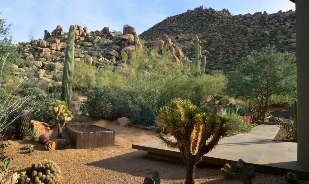 Troon Residence, 2014 - Landscape - Phoenix - by Steve Martino ...