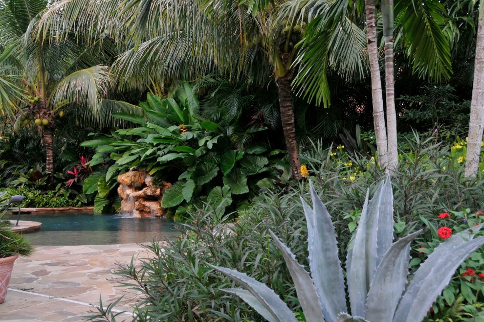 Tropical Design - Tropical - Landscape - Miami - by Knoll Landscape ...