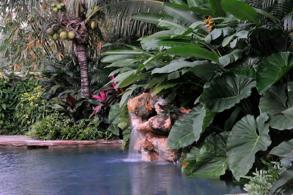 Tropical Design - Tropical - Landscape - Miami - by Knoll Landscape ...