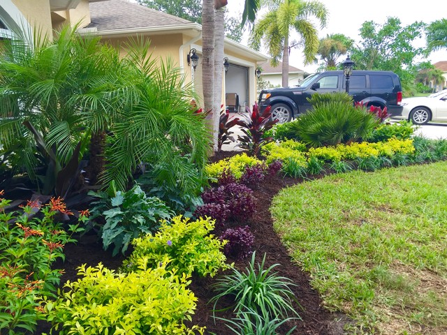 Tropical front & backyard landscapes....Palms & Color - Tropical ...
