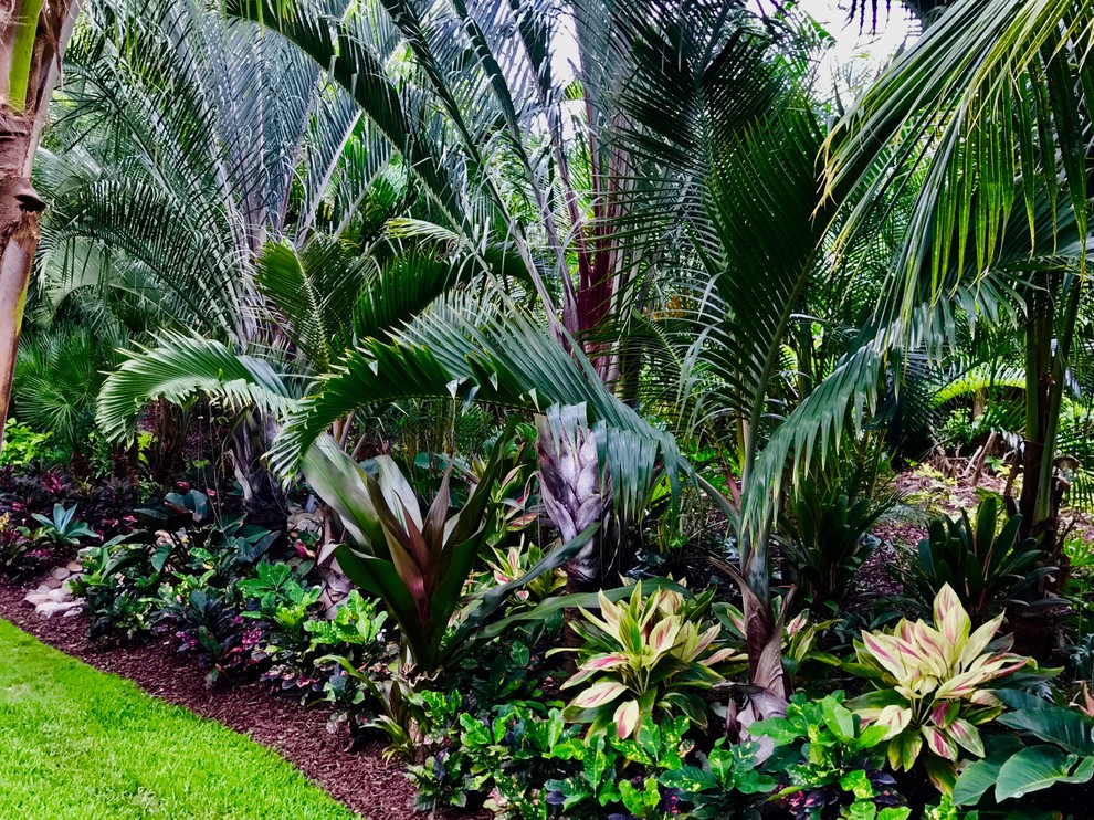 Tropical Home Landscape Design - Tropical - Landscape - Orlando - by ...