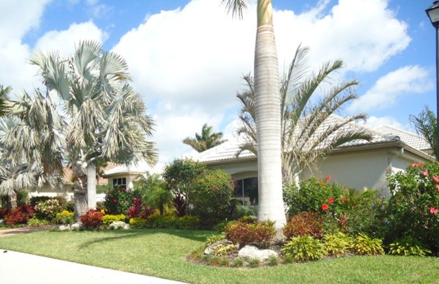 Tropical Landscape Design Ideas - Tropical - Landscape - Miami - by ...