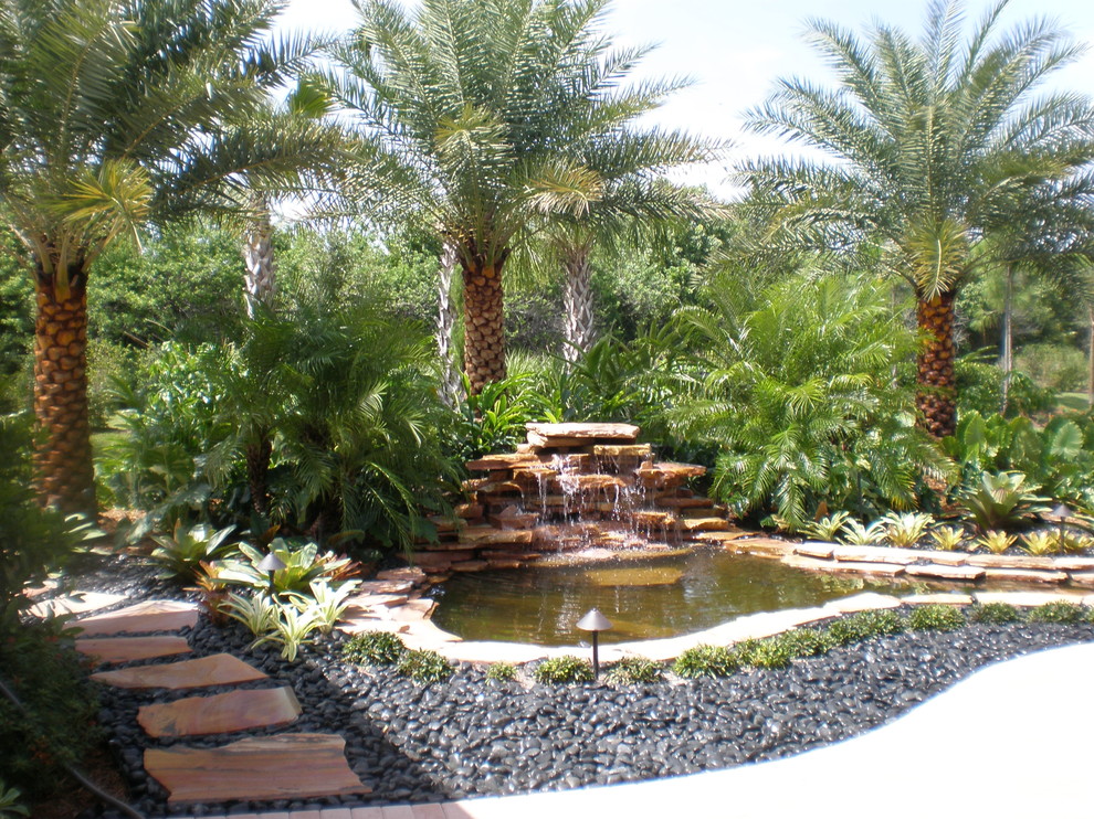 Tropical Landscape Designs - Tropical - Landscape - Miami - by ...