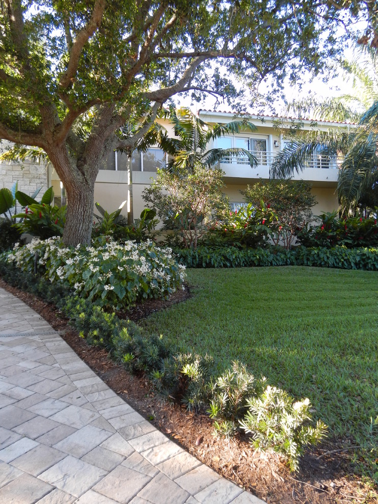 Tropical Landscape Designs - Tropical - Landscape - Miami - by ...