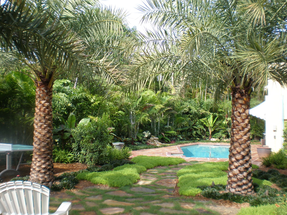 Tropical Landscape Designs - Tropical - Landscape - Miami - by ...
