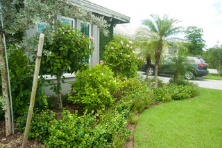 Tropical Landscape Full & Unique - Tropical - Landscape - Miami - by ...