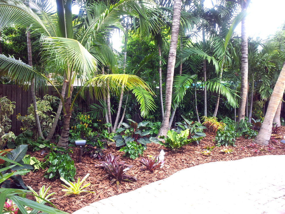 Tropical Paradise - Backyard Makeover - Tropical - Landscape - Miami ...