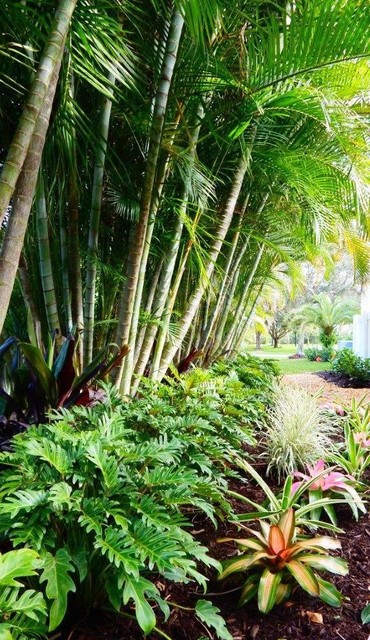 Tropical Pathway - Tropical - Garden - Tampa - by ArtisTree Landscape ...