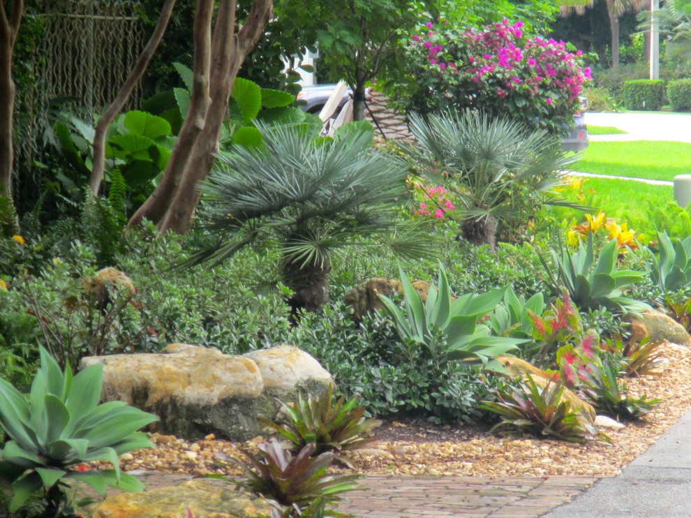 Tropical Planting Design - Tropical - Landscape - Miami - by Matthew ...