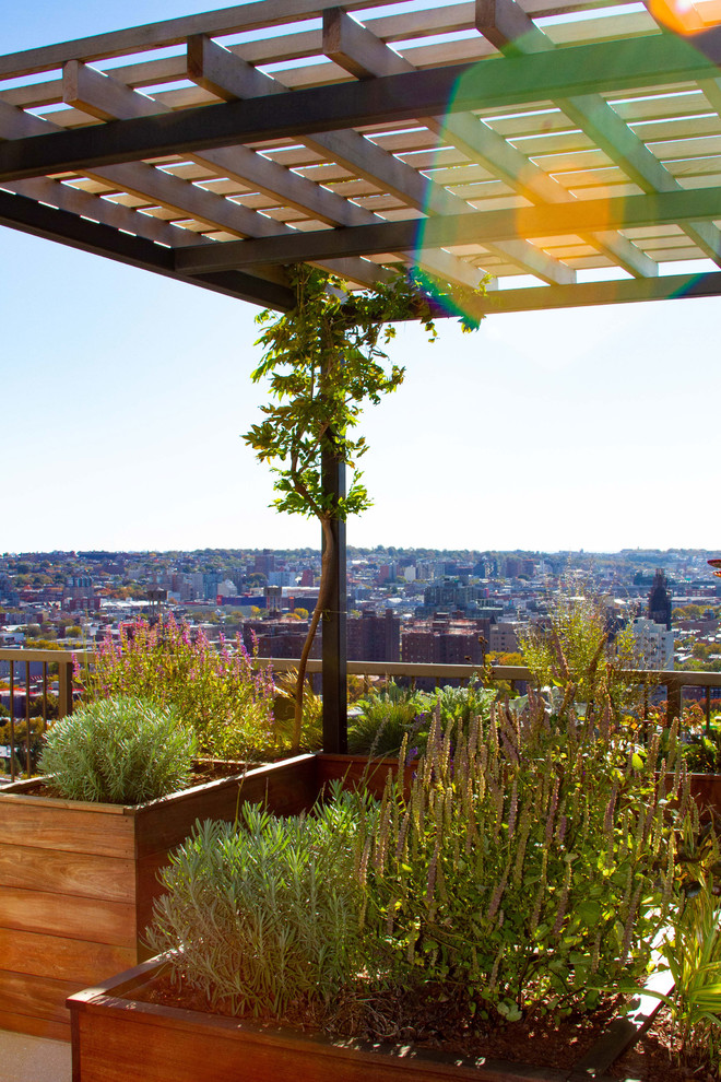 Tropical Rooftop Garden - Modern - Landscape - New York - by Outside ...