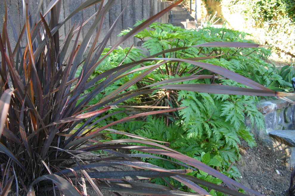 Tropical Texture - Tropical - Landscape - Los Angeles - by The Grass Is ...