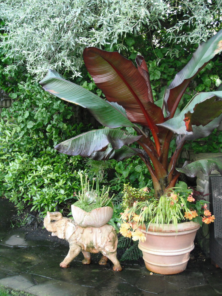 Tropical Theme Container - Tropical - Landscape - Vancouver - by Glenna ...