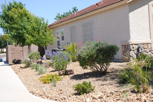 Turf Conversion - American Southwest - Garden - Las Vegas - by ... Turf Conversion - American Southwest - Garden - Las Vegas - by ...