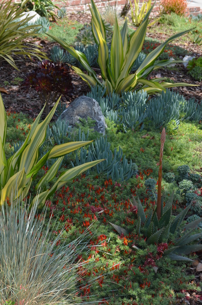 Turf Replacement becomes Sustainable Garden Landscape - Contemporary ...