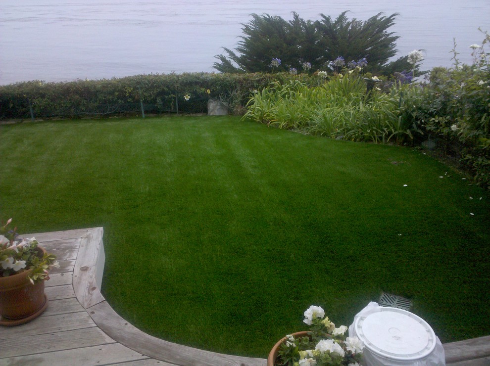 Turf - Modern - Landscape - Los Angeles - by Waterless Turf | Houzz