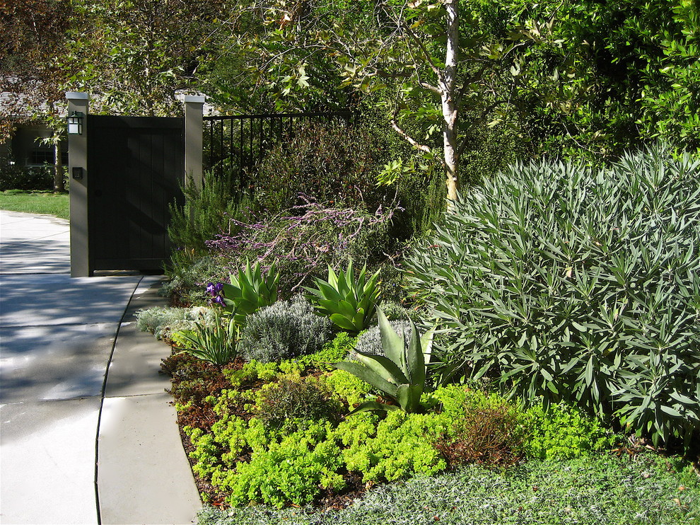 TUSCAN SOFTSCAPE - Mediterranean - Landscape - Los Angeles - by Gilson ...