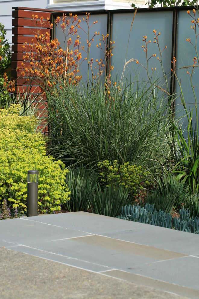 Twin Peaks Texture - Modern - Landscape - San Francisco - by The Garden ...