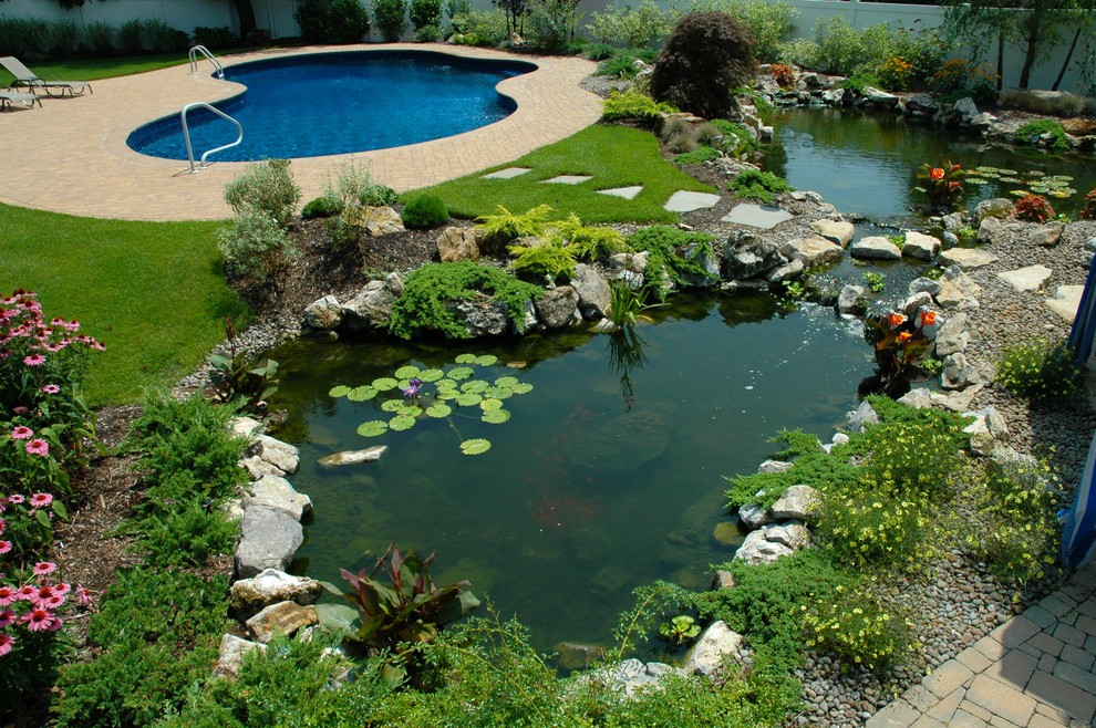 Twin ponds, one pond for fish, and one pond for water plants ...