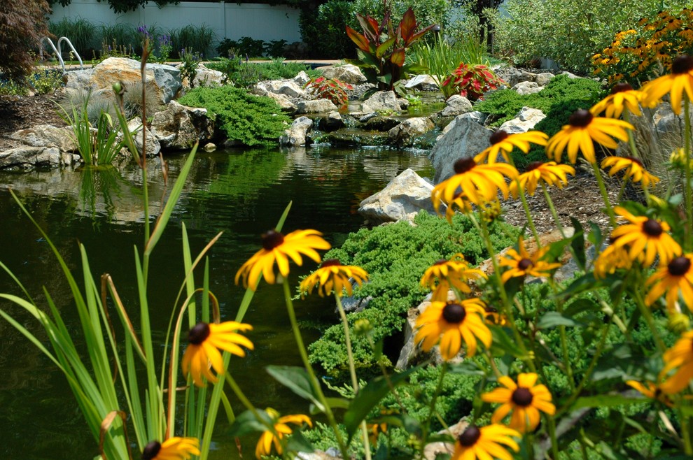 Twin ponds, one pond for fish, and one pond for water plants ...