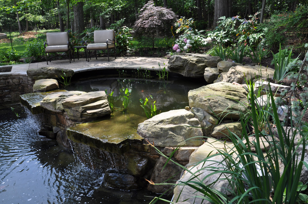 Two-tiered koi pond with plantings and natural stone - Traditional ...