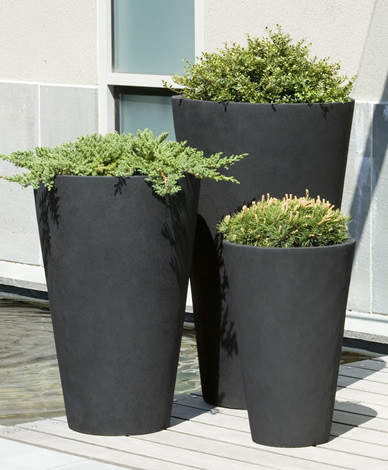 Unique Choices and Combination in Plant Materials - Contemporary ...