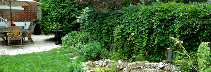 Informal Landscape Design Ideas