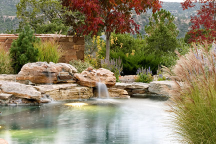 Various Projects - Traditional - Landscape - Albuquerque - by Natures ...