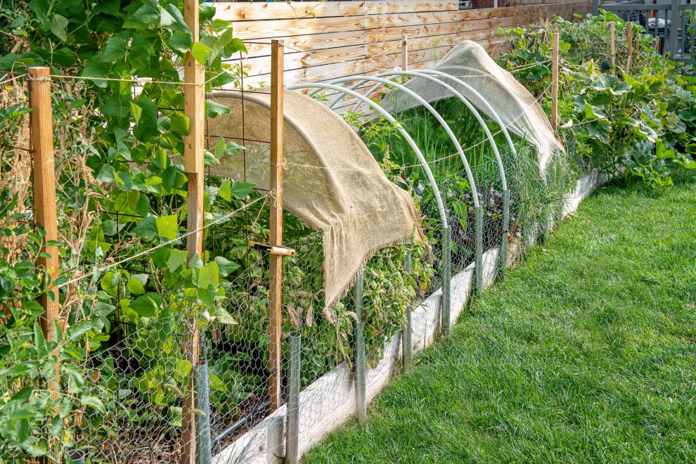 Vegetable Garden with Hoop Houses - Landscape - Denver - by Laurel ...