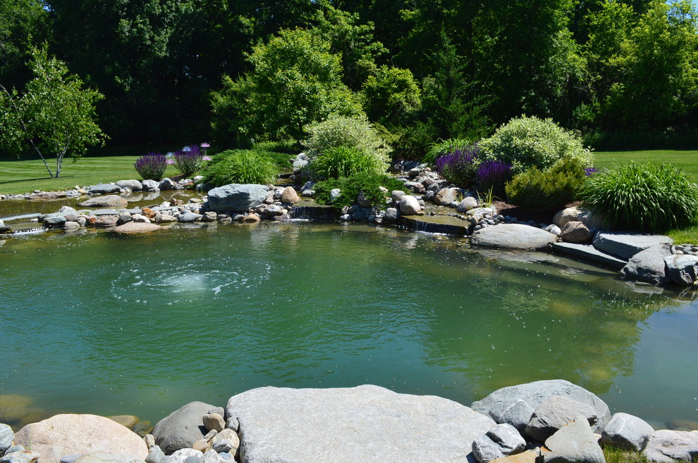 Vermont Natural Swimming Pond - Traditional - Landscape - Burlington ...