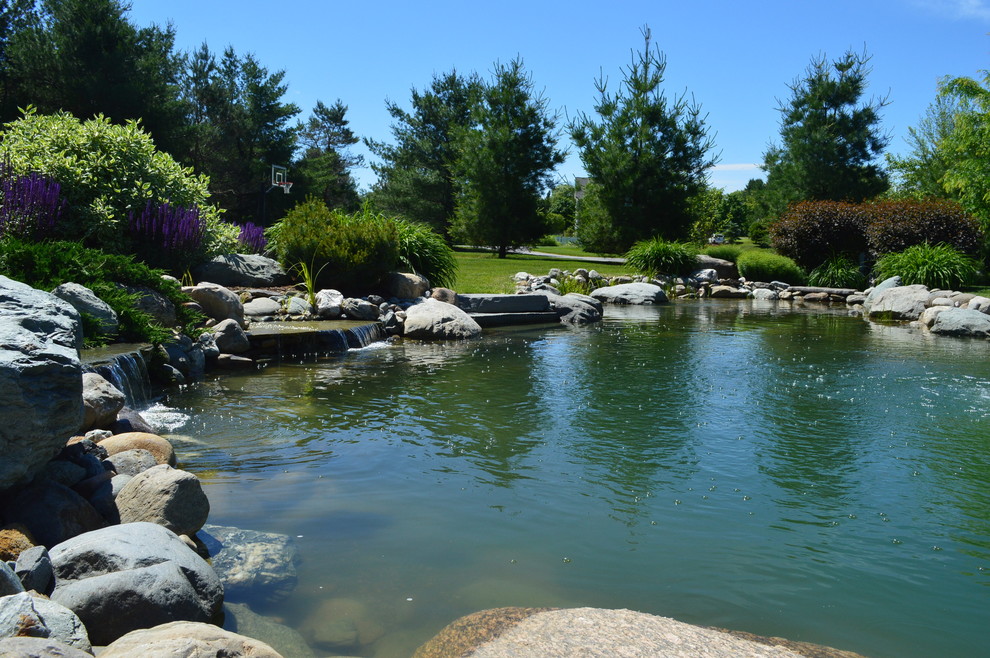 Vermont Natural Swimming Pond - Traditional - Landscape - Burlington ...