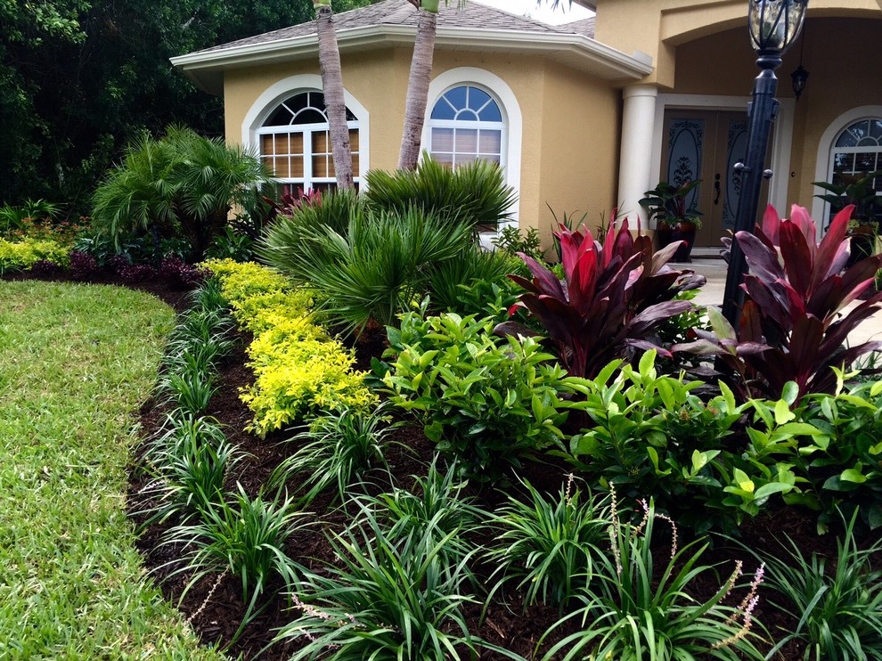 Vero Beach Front yard Curb appeal - Tropical - Landscape - Orlando - by ...