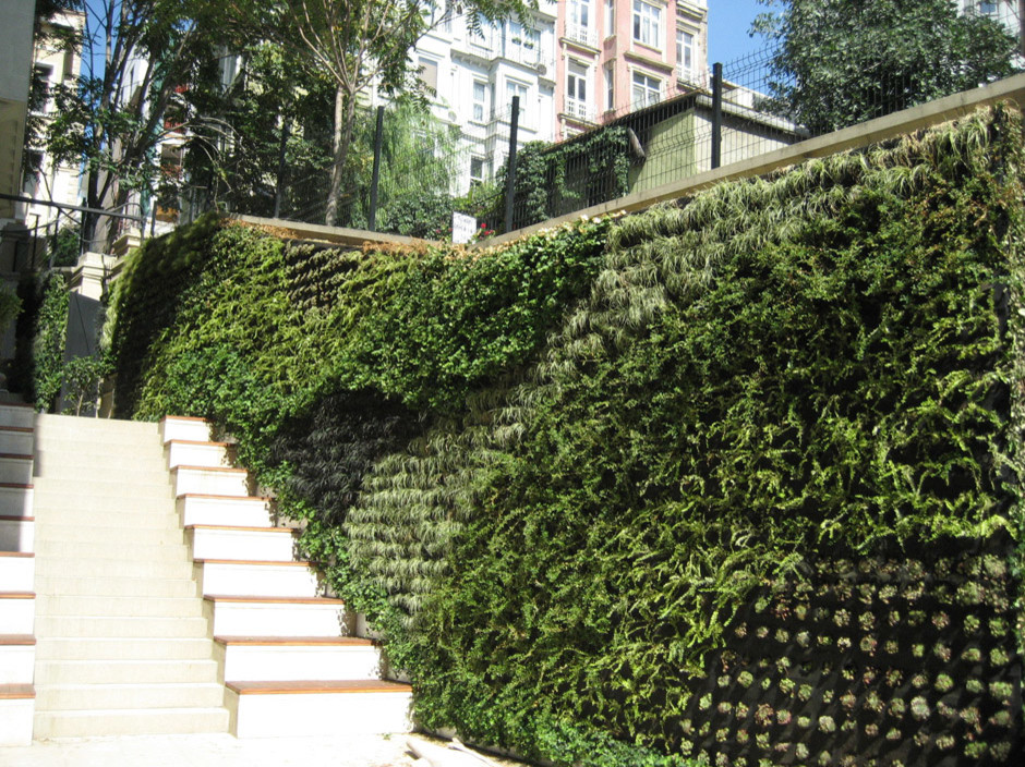 Vertical Garden Project - Modern - Landscape - Other - by Merve Anil ...