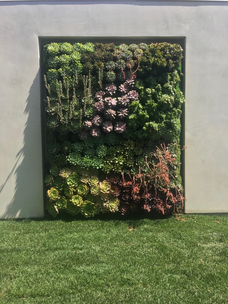 Vertical Gardens - Modern - Landscape - Los Angeles - by 4br Design ...