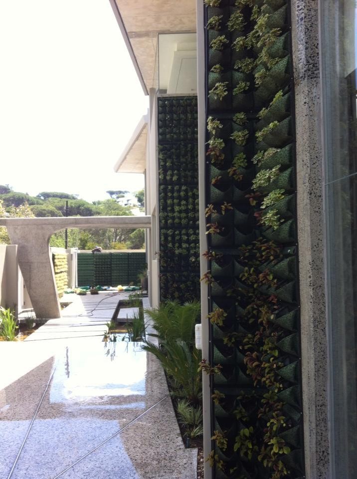 Vertical Plantscapes - Living Walls - Vertical Gardens - Modern ...