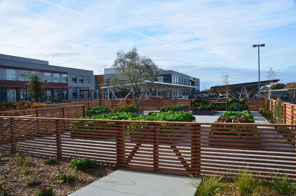 VF Outdoor Headquarters - Modern - Landscape - San Francisco - by April ...