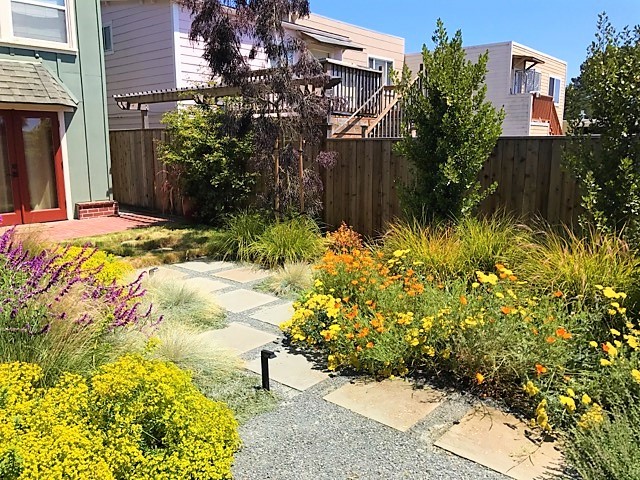 View from the path fines patio to the house - Beach Style - Landscape ...