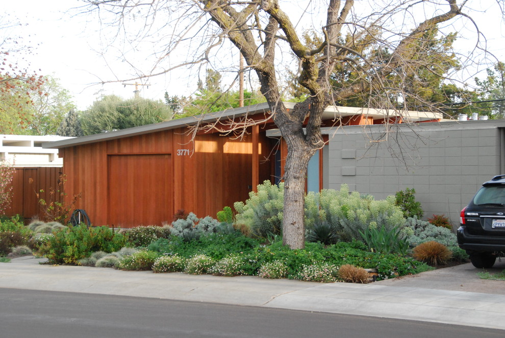 Vigorously blooming Euphorbia anchors the drought-tolerant front garden ...